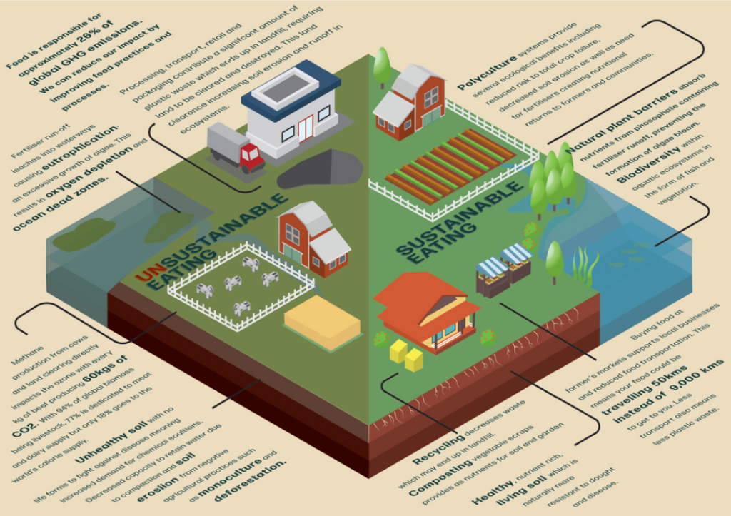 Comparing Food Sustainability - Lauren Poynter Design